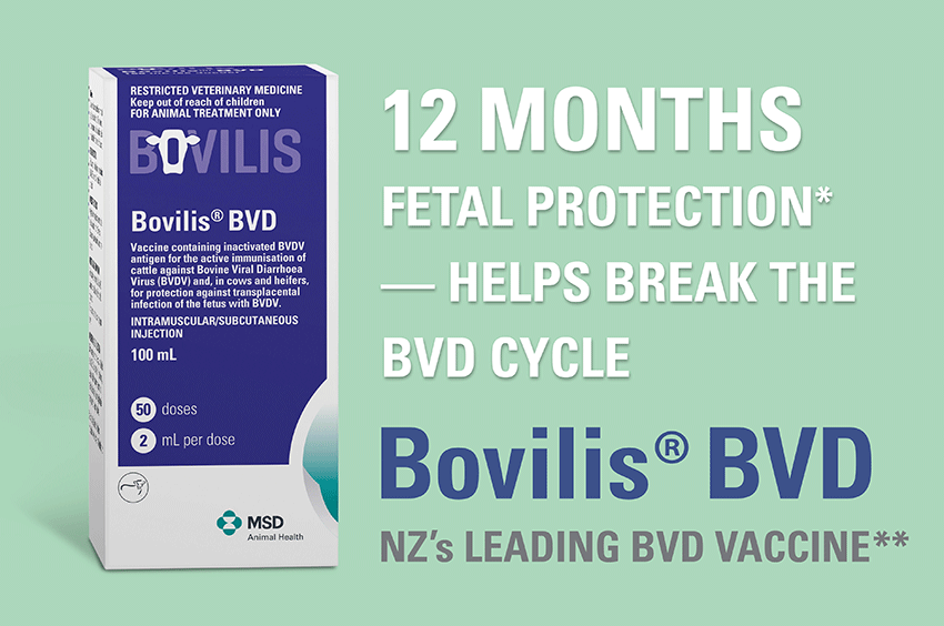 Bovilis 12 months lp01 - Bovilis 12 months fetal protection with ...