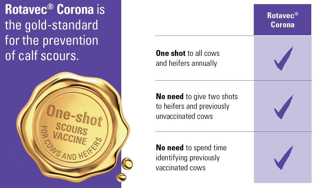 Vaccinate For Calf Scours With Rotavec Corona | Bovilis