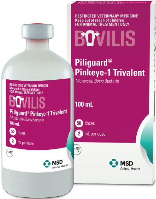 Piliguard® Pinkeye-1 Trivalent | Prevent Pink Eye | Bovilis
