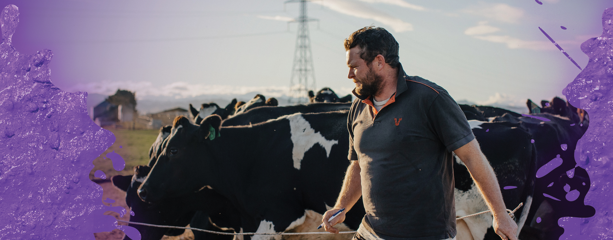 Rotavec Corona Information Guide | Vaccinate With Bovilis