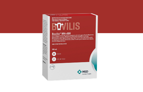 Bovilis | Protect The Future of Herd Health