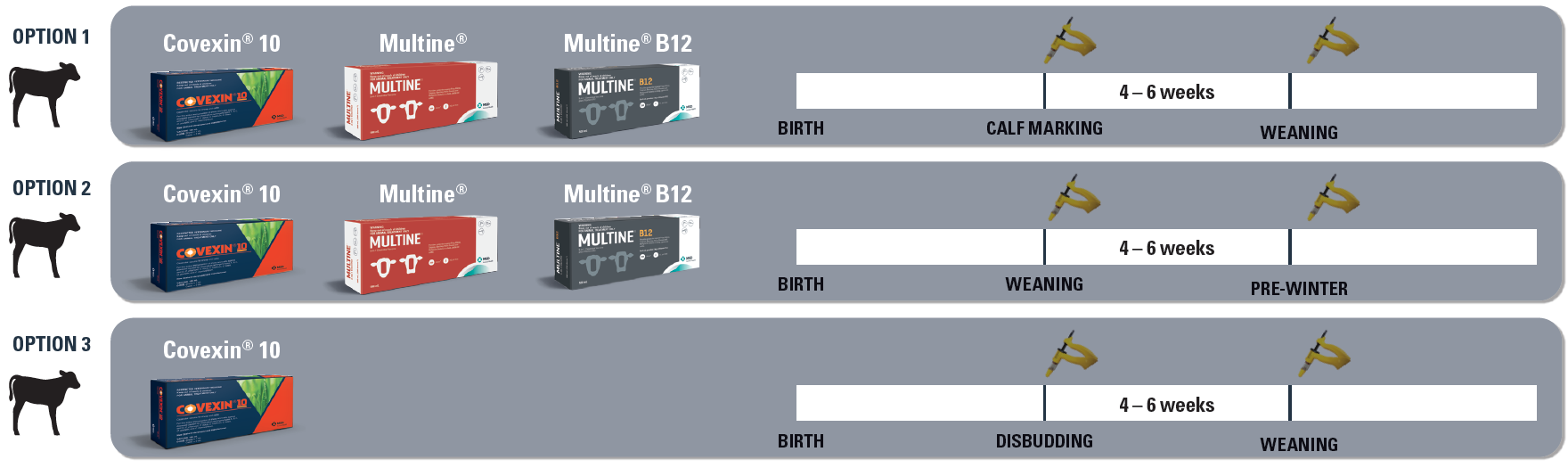 Vaccinate for clostridial diseases with Covexin10