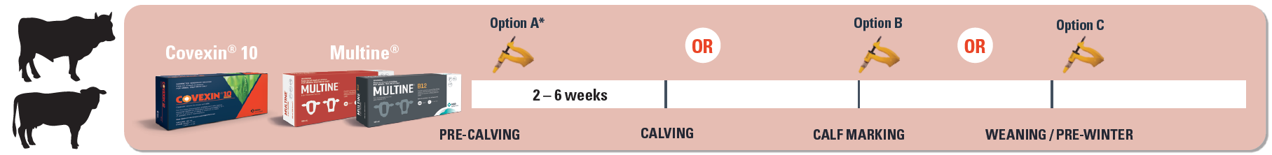 Vaccinate for clostridial diseases with Covexin10